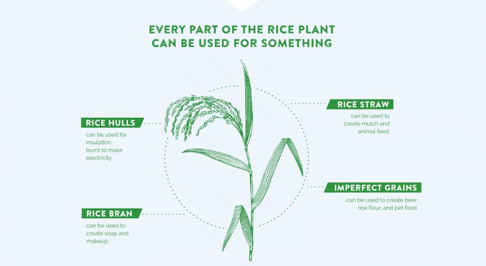 Sustainability | Minute® Rice