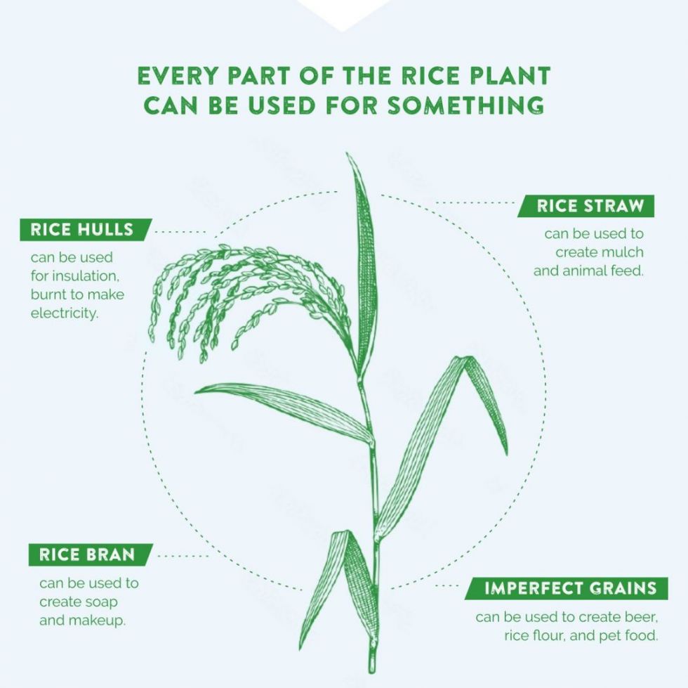 Sustainability | Minute® Rice